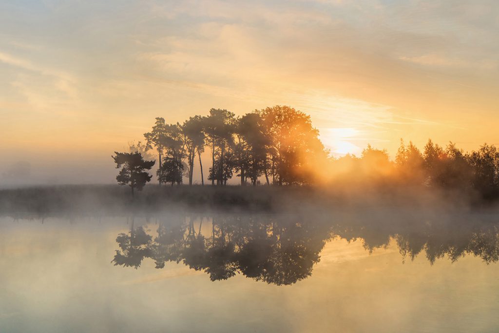 Portfolio - Tony Vingerhoets