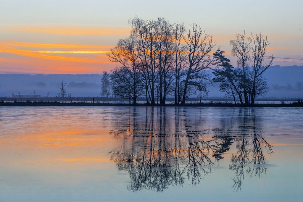 Portfolio - Tony Vingerhoets