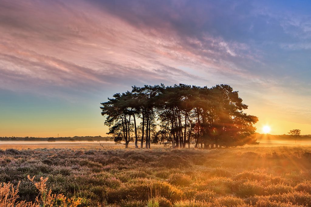 Portfolio - Tony Vingerhoets