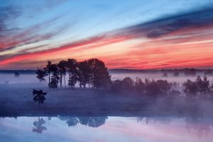 Portfolio - Tony Vingerhoets