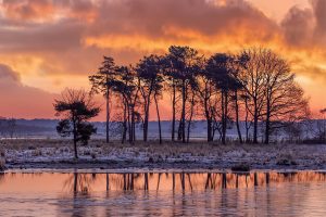 Portfolio - Tony Vingerhoets